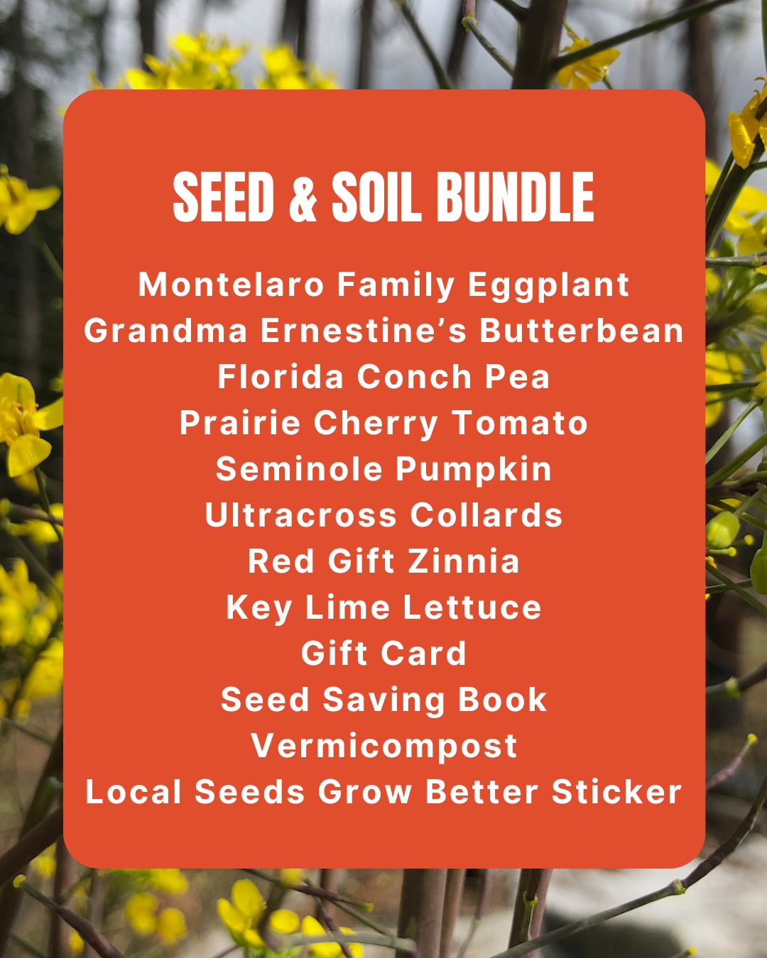 Raffle Ticket: Seed and Soil Bundle | Seed Shop